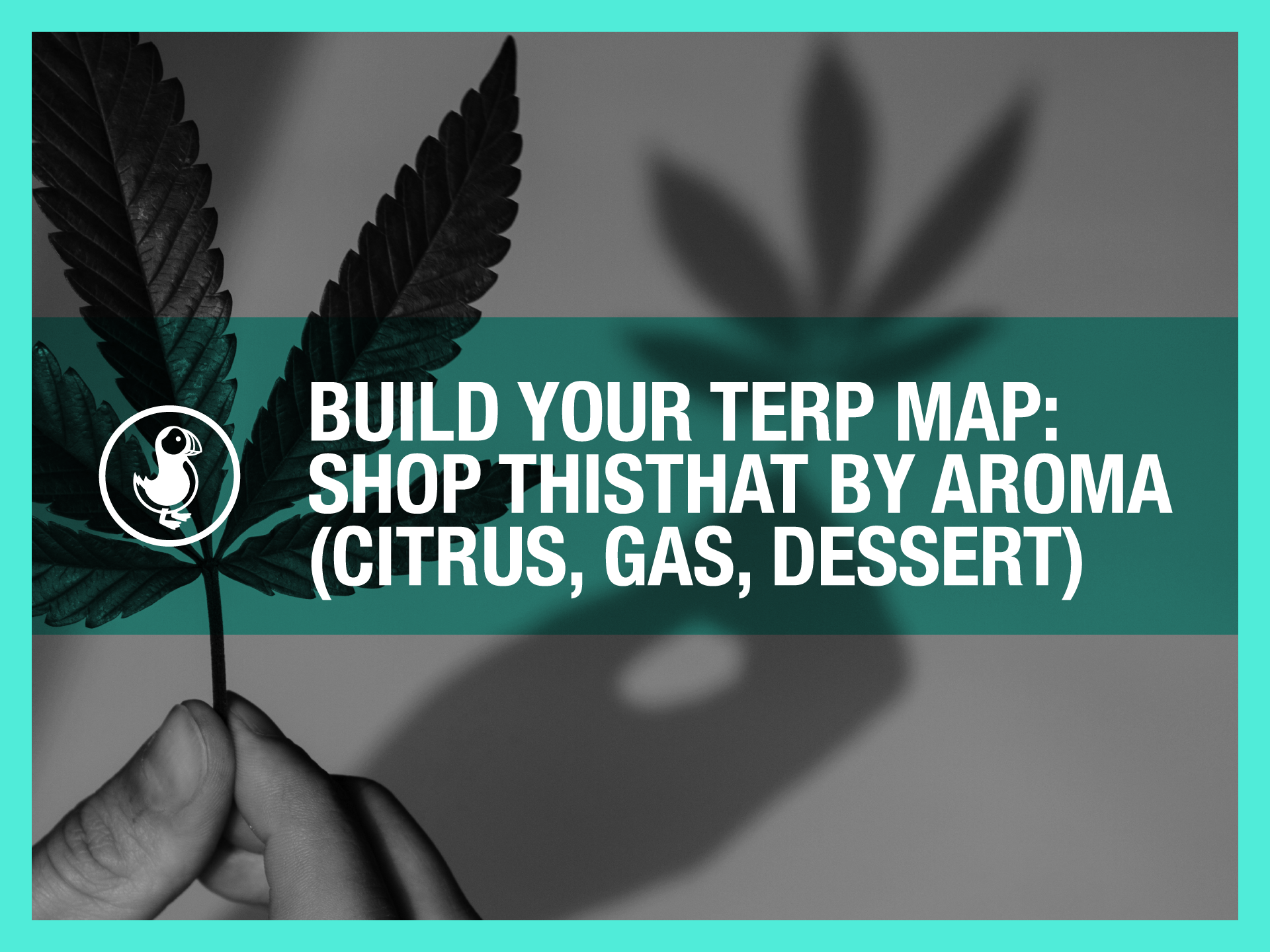Why Shopping by Aroma Makes Sense | Terpene Guide for THCA Flower ...
