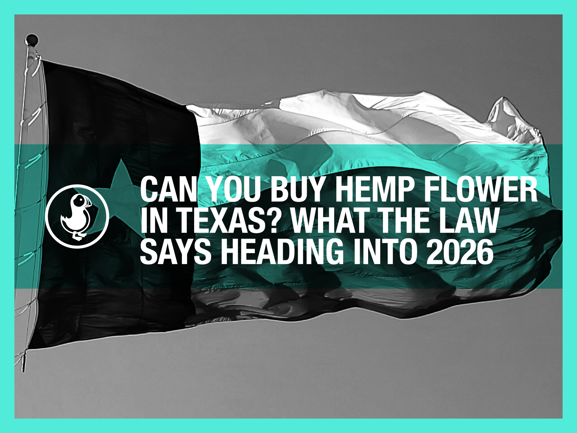Can You Buy Hemp Flower in Texas? Texas Hemp Laws Heading Into 2026 ...